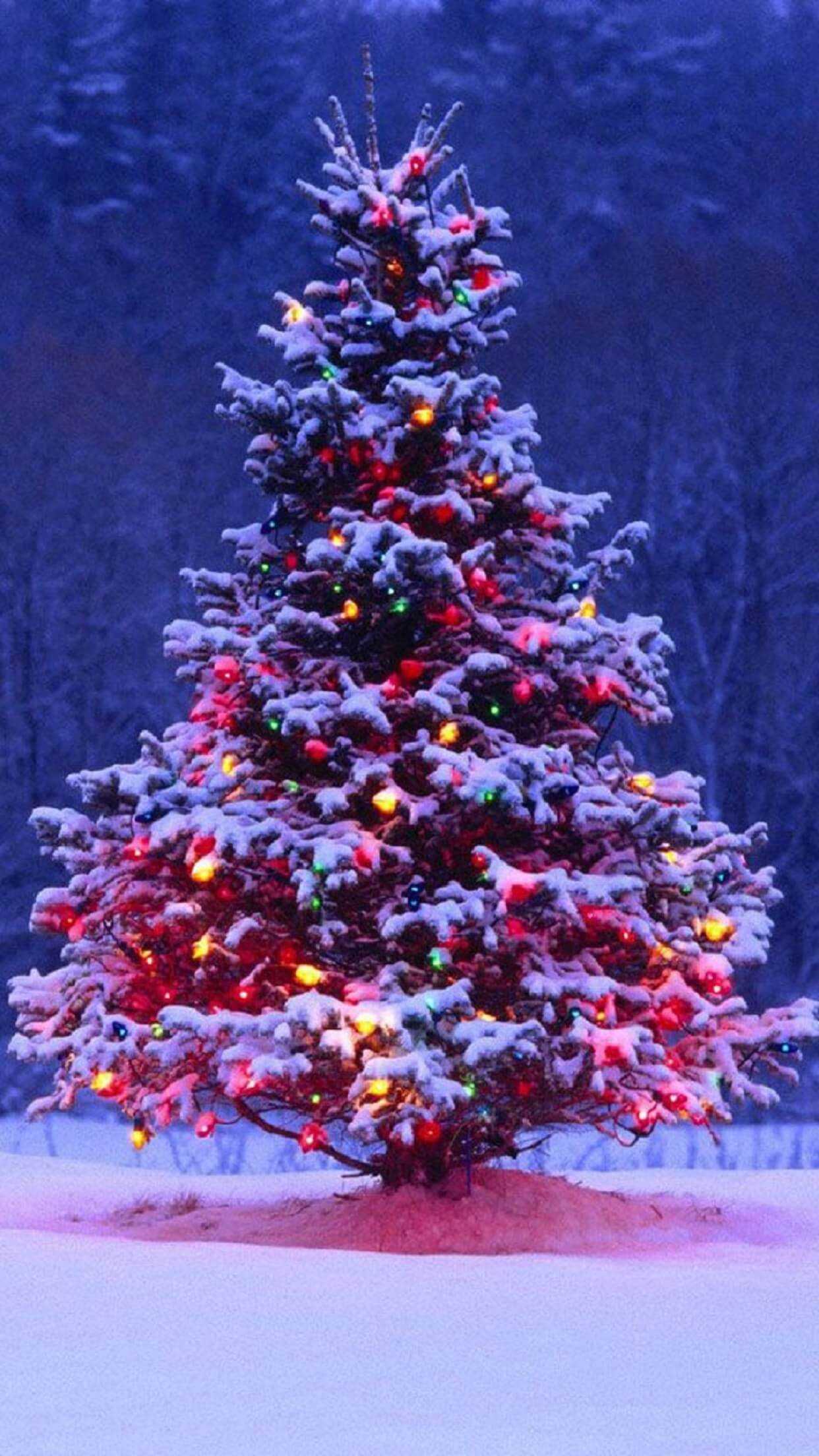 Christmas Tree Wallpaper IXpap