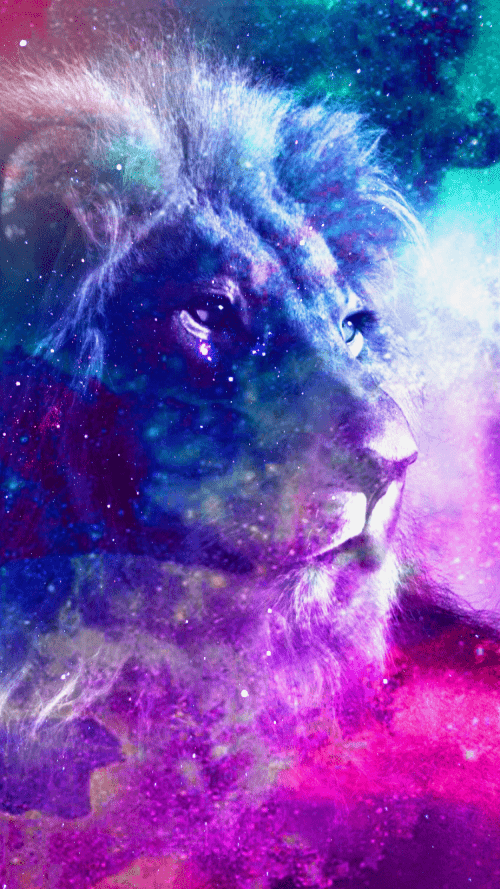 Top Rated Wallpapers - iXpap