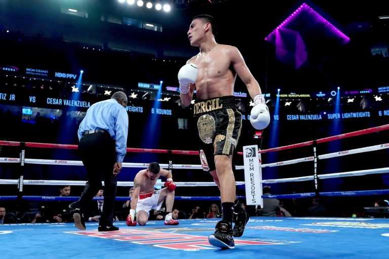 4K Canelo Wallpaper - iXpap