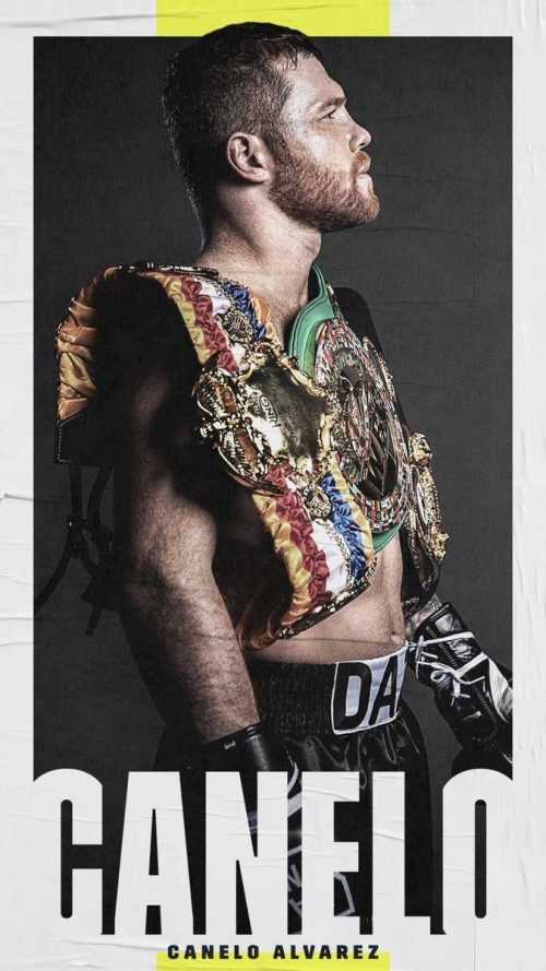 4K Canelo Wallpaper - iXpap