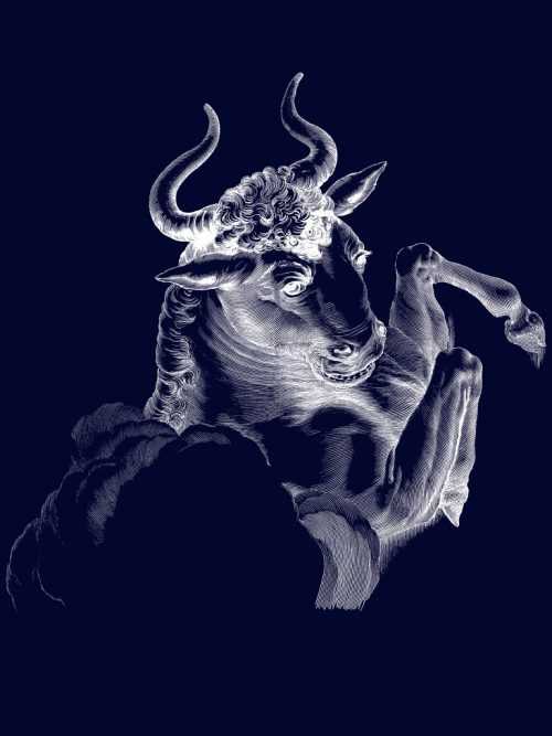 Taurus Wallpaper - iXpap