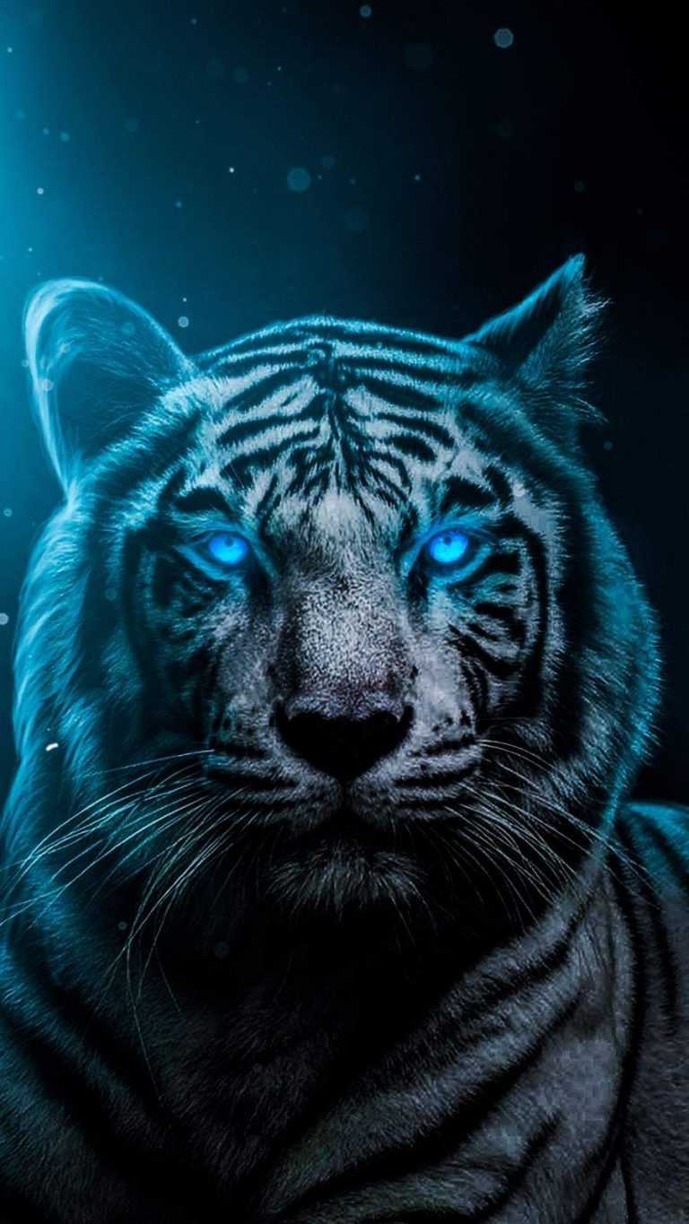 4K Tiger Wallpaper - iXpap