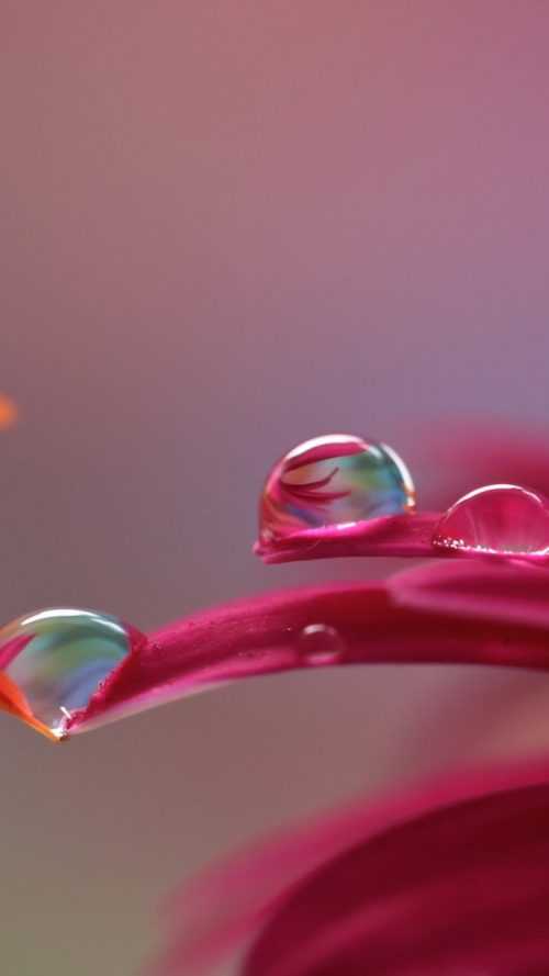 Hd Beautiful Wallpaper Ixpap