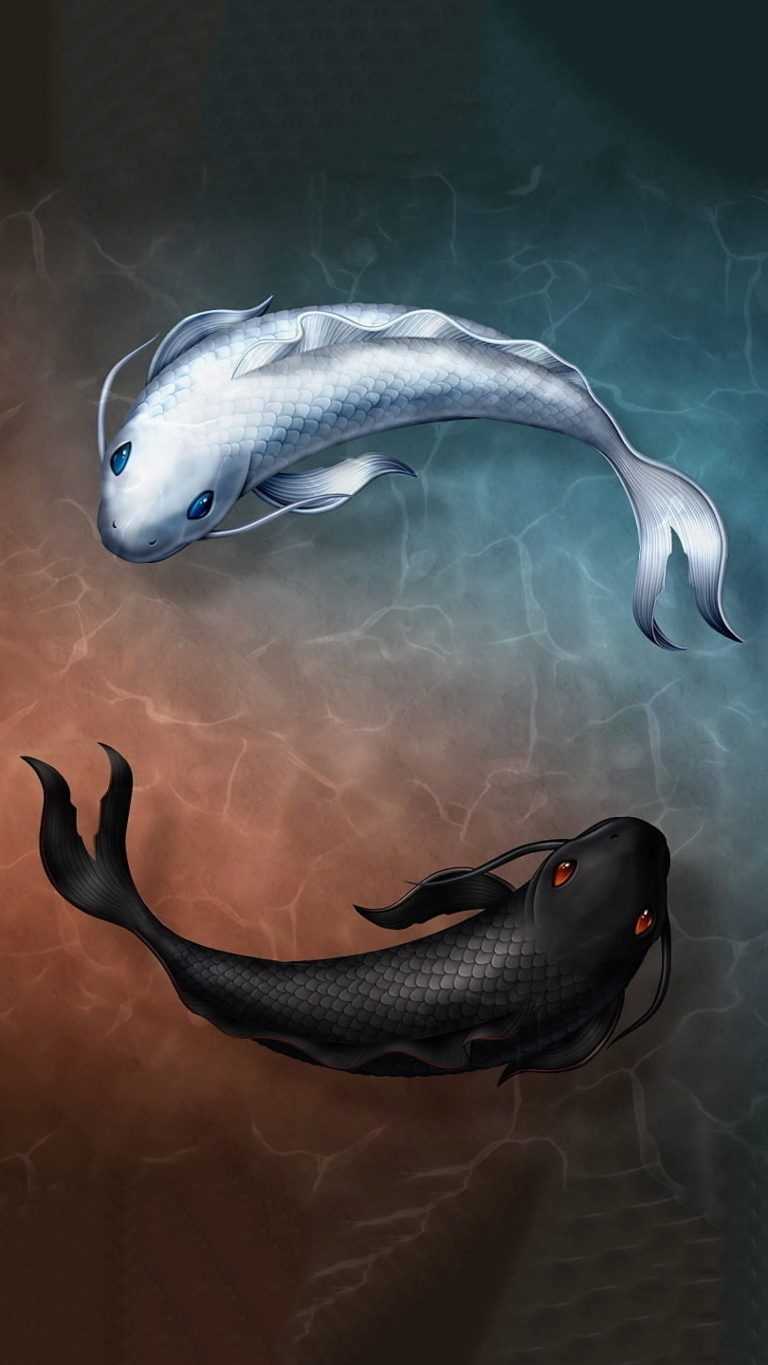 Wallpaper Koi Fish - iXpap