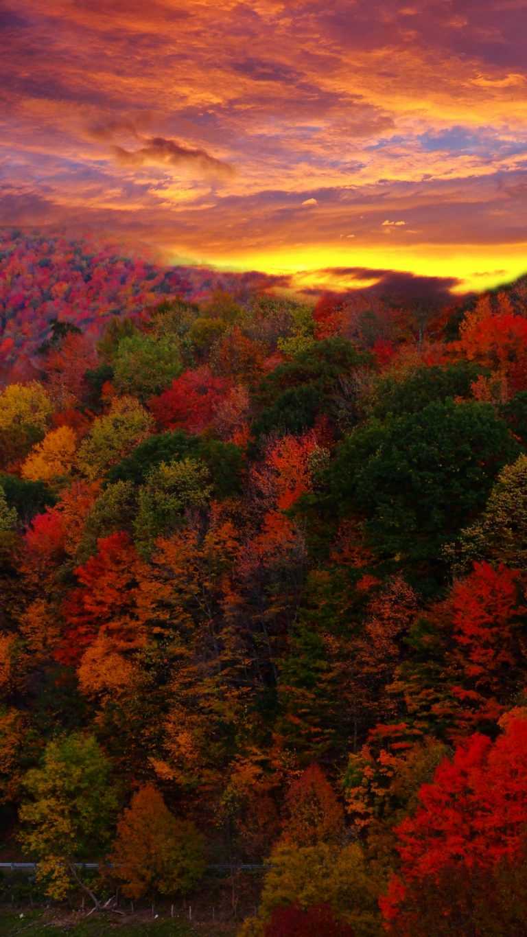 Autumn Wallpapers - iXpap