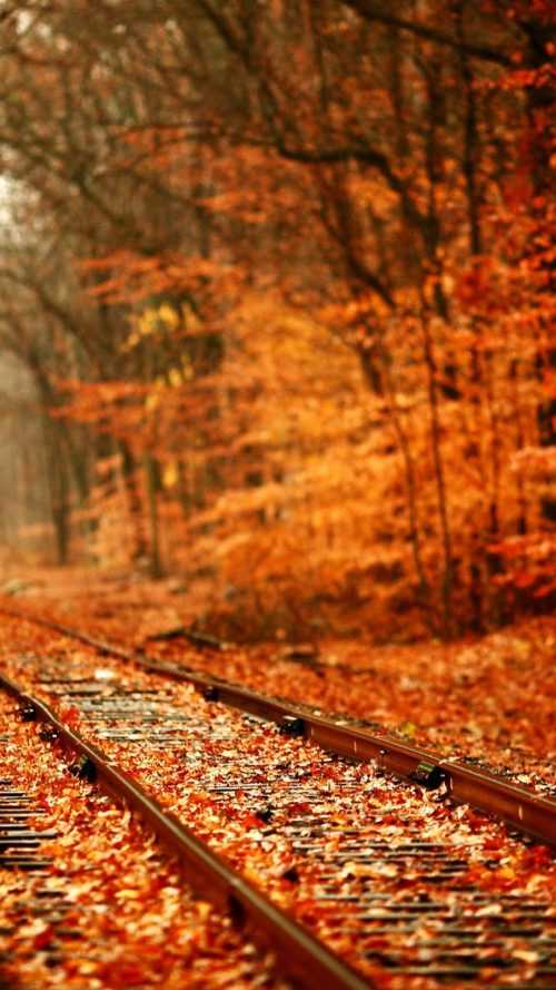 November Wallpaper - iXpap