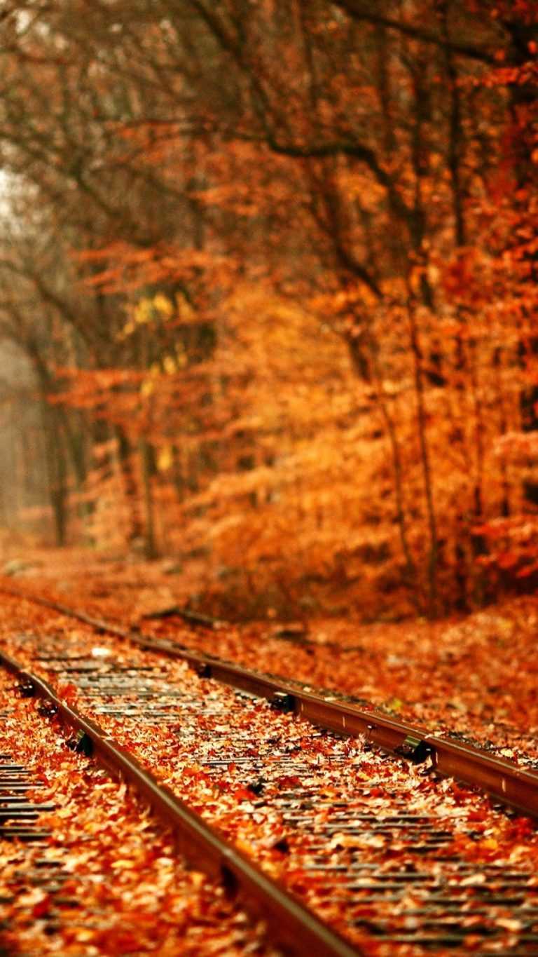 November Wallpaper - iXpap