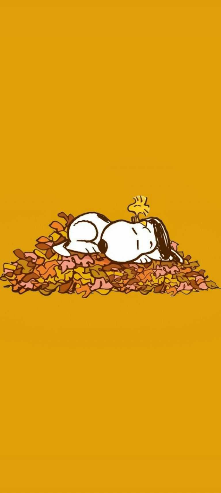 Snoopy Fall Wallpaper - iXpap