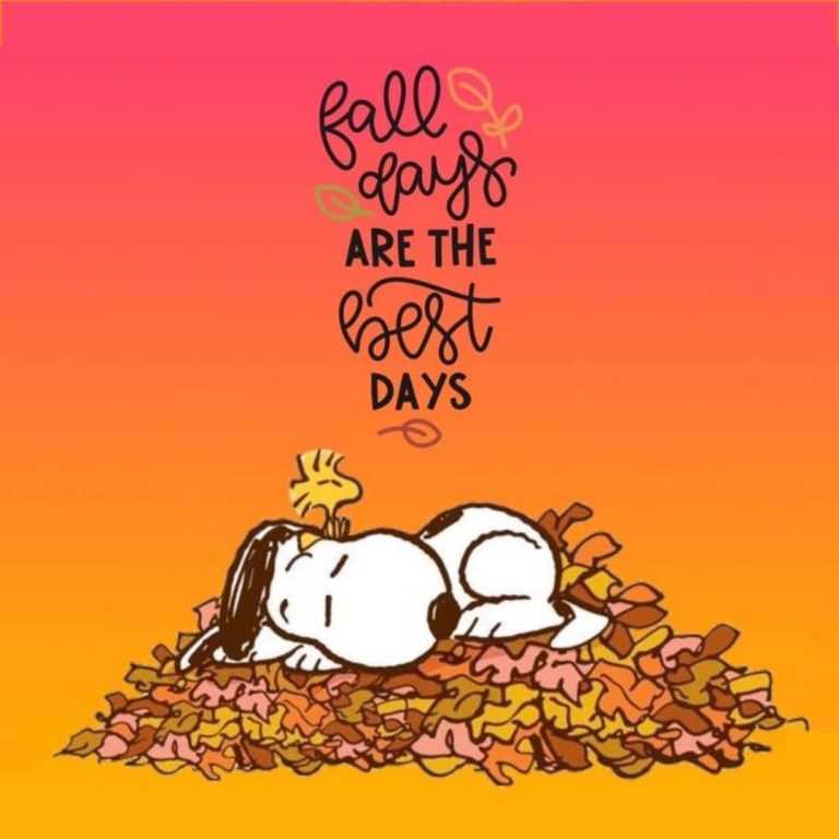 Snoopy Fall Wallpaper - iXpap