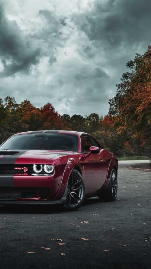 Hellcat Wallpaper - iXpap