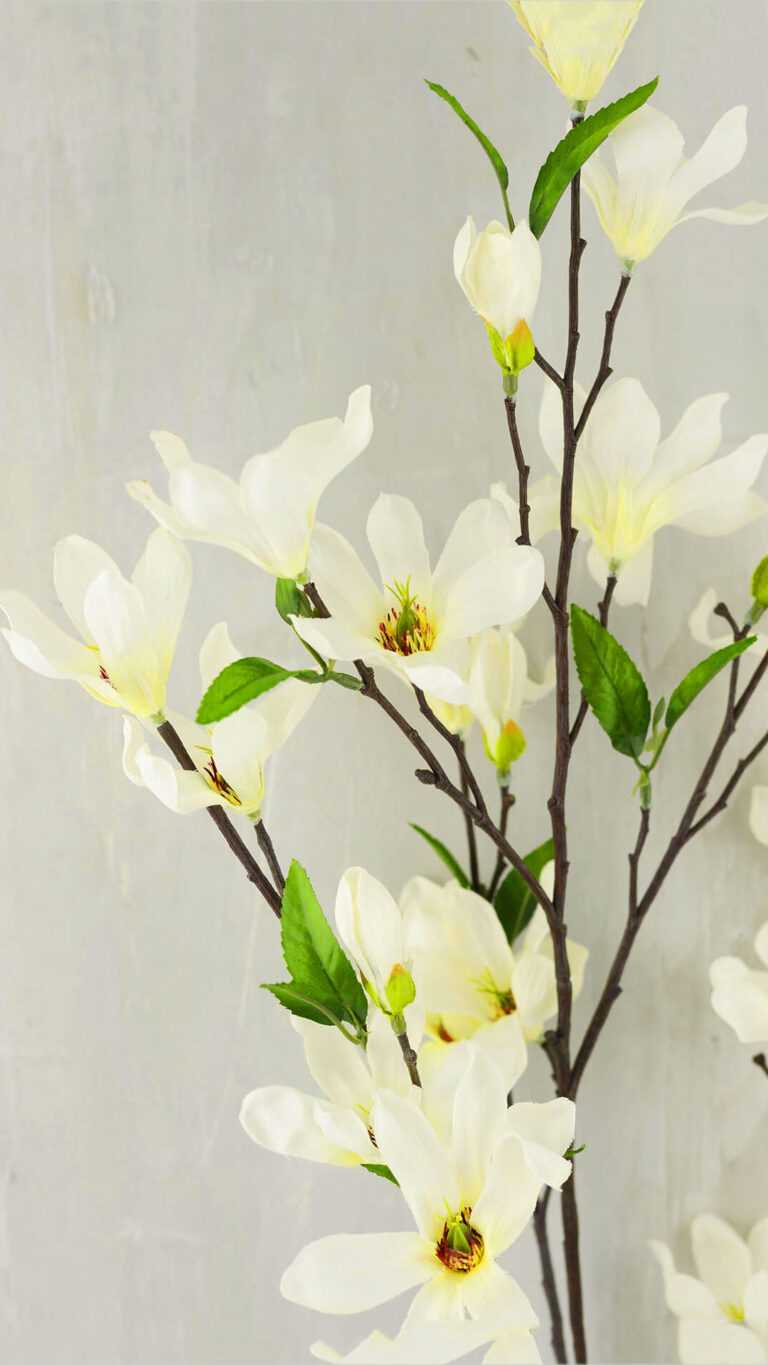 Magnolia Wallpaper - iXpap