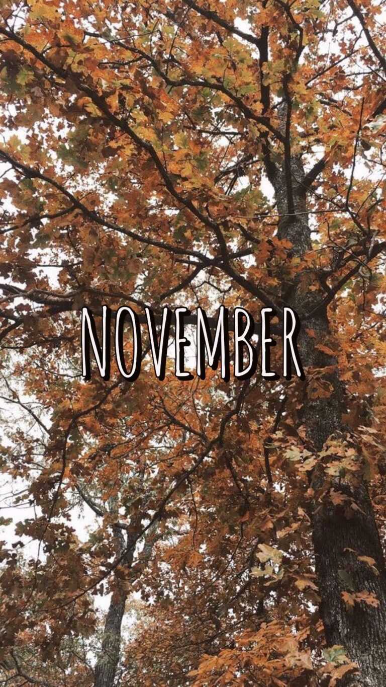 November Wallpaper - iXpap