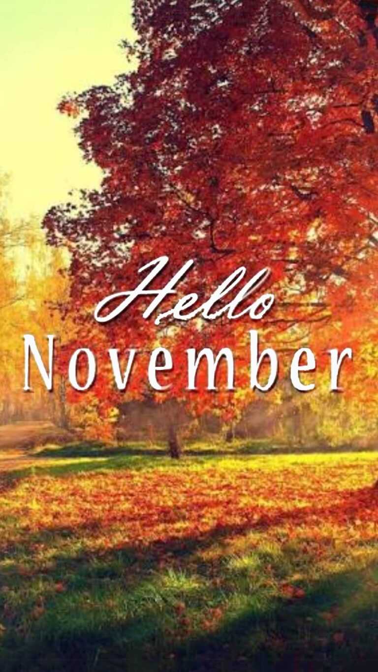 November Wallpapers - iXpap