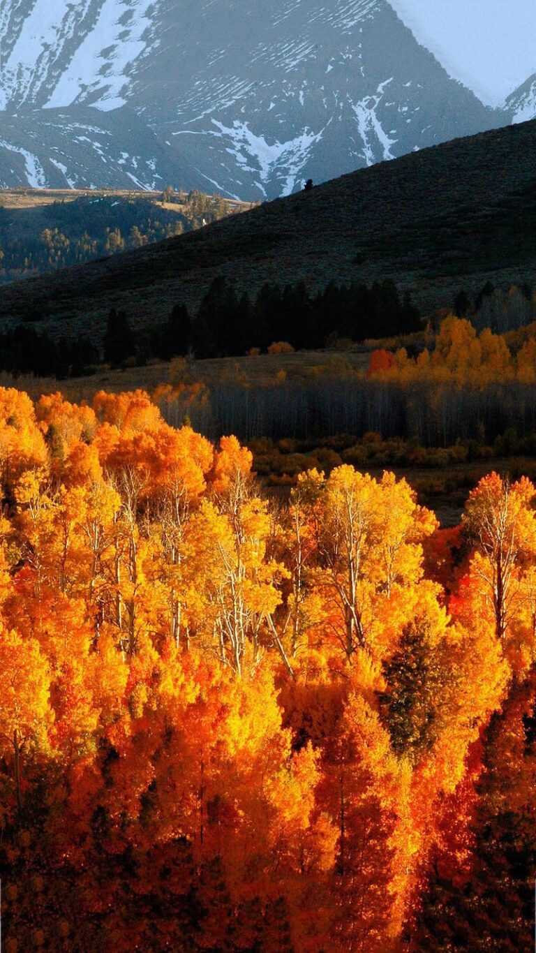 October Wallpaper - iXpap