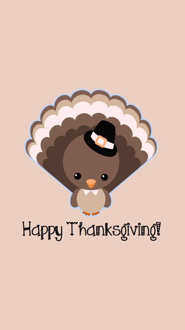 Cute Turkey Wallpaper - iXpap
