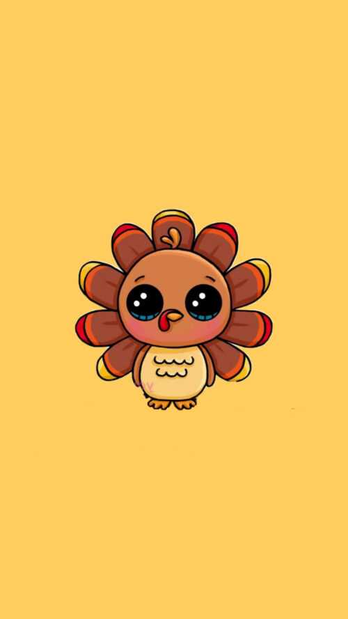 Cute Turkey Wallpapers - iXpap