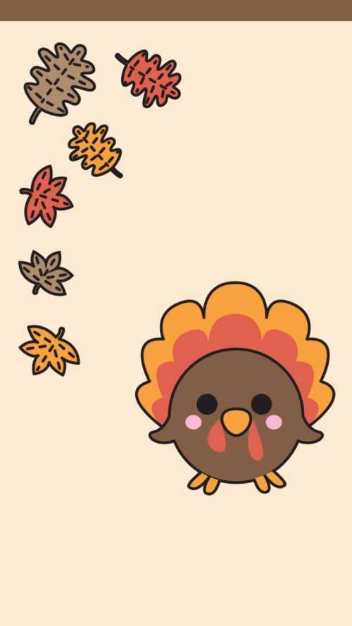 Cute Turkey Wallpapers - iXpap