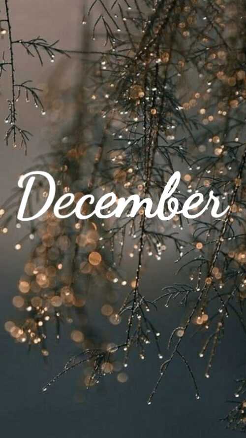 Hello December Wallpaper - iXpap