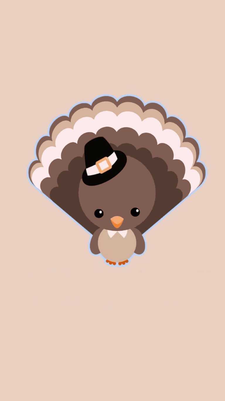 Cute Turkey Wallpaper - iXpap