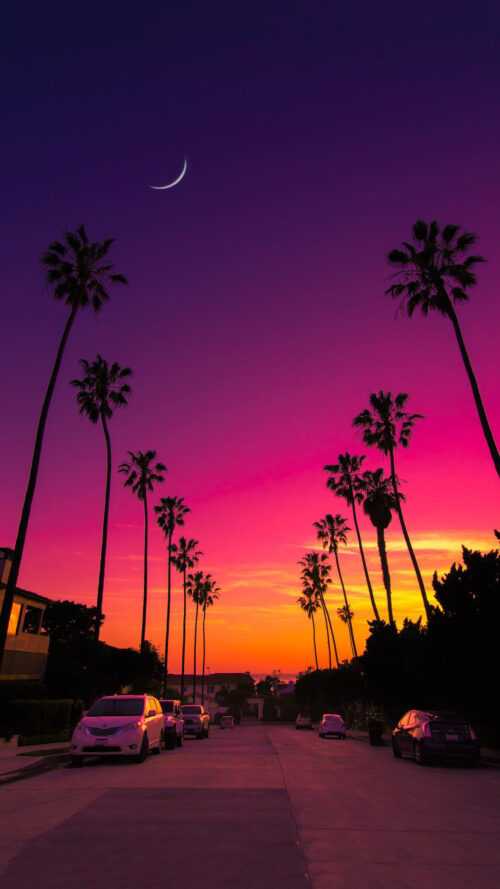 California Background - iXpap