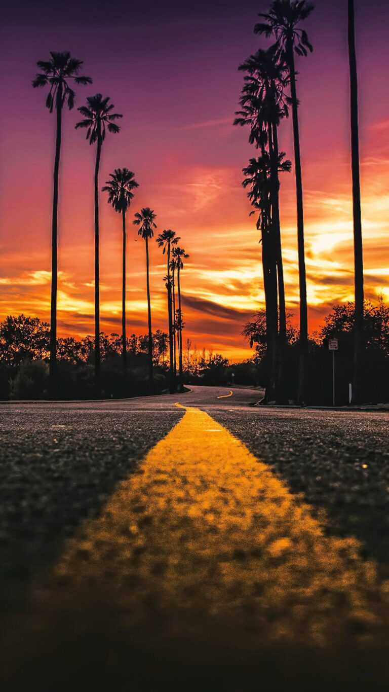 California Background - iXpap