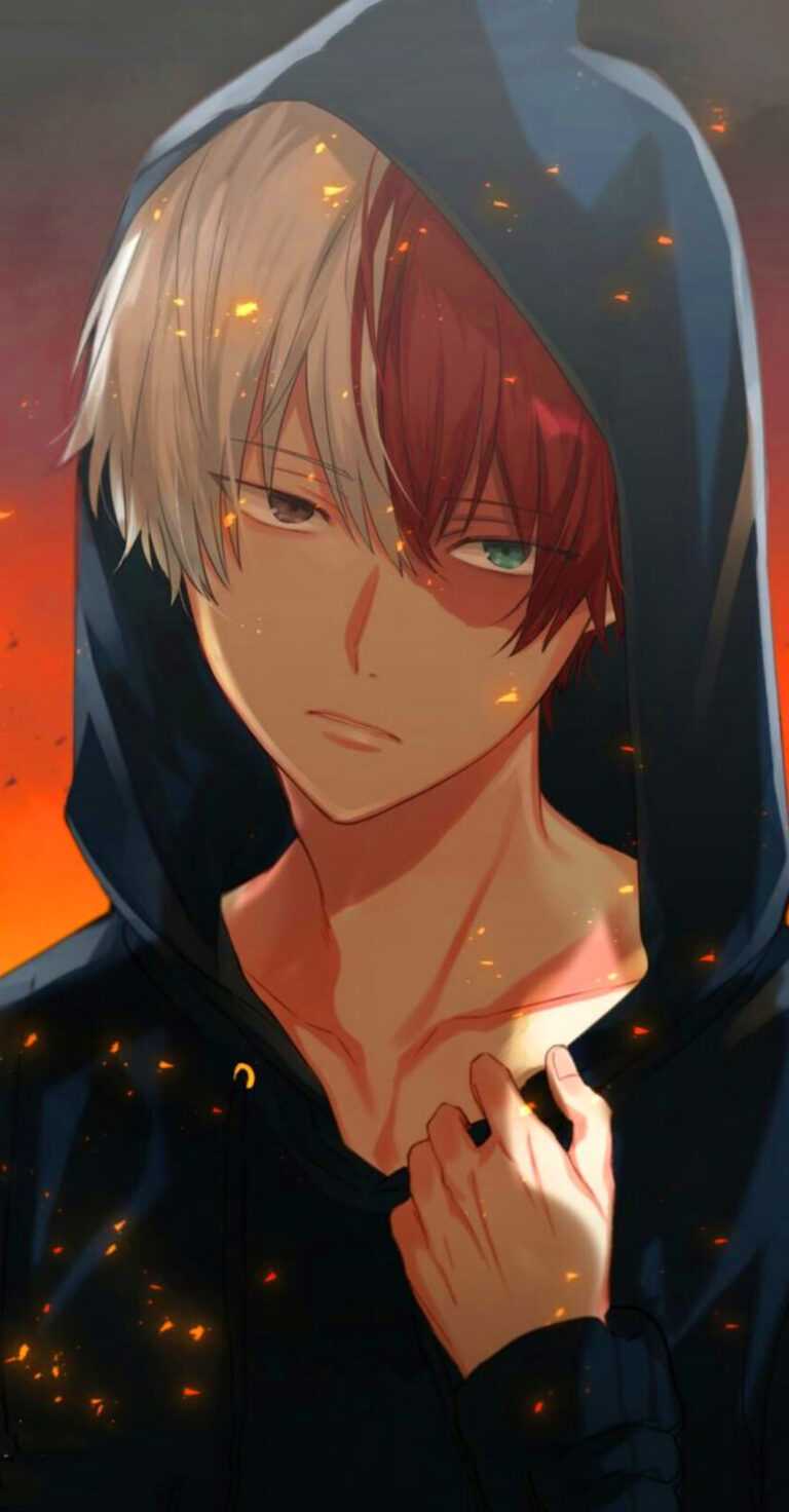 Shoto Todoroki Wallpapers - iXpap