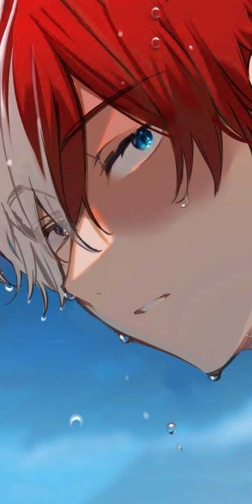 Shoto Wallpaper - iXpap