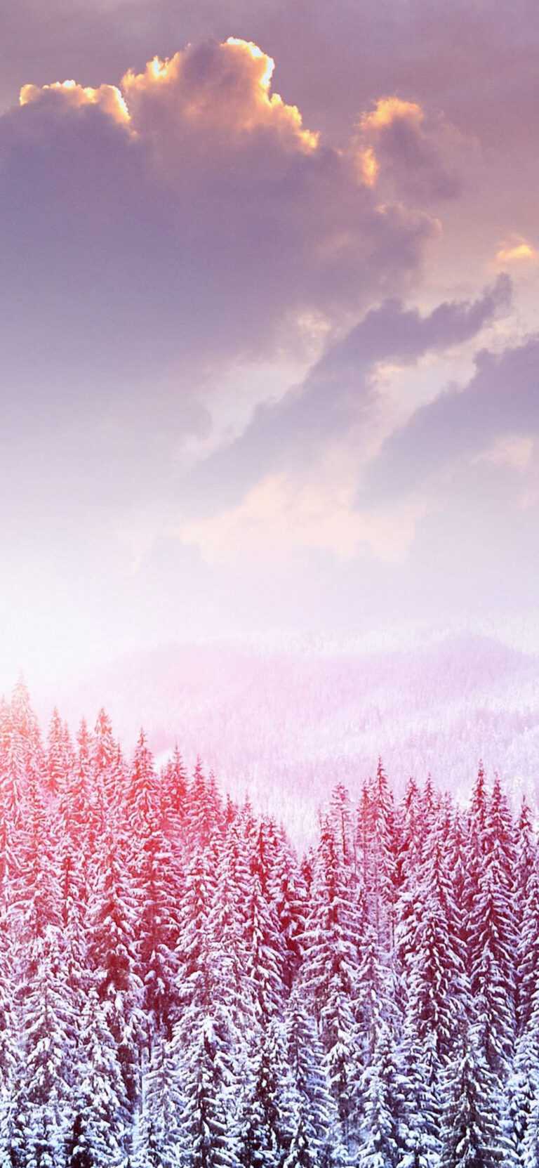 Snow Wallpaper - iXpap