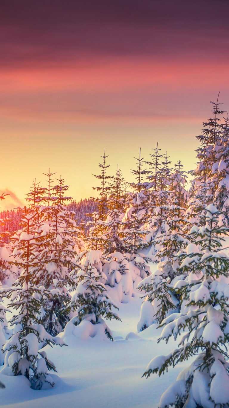 Snow Wallpapers - iXpap