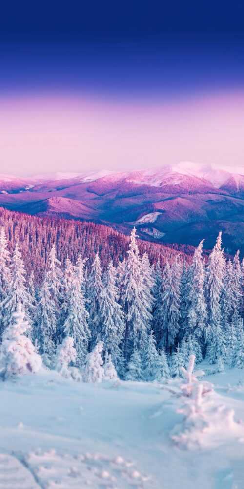 Snow Wallpapers - iXpap