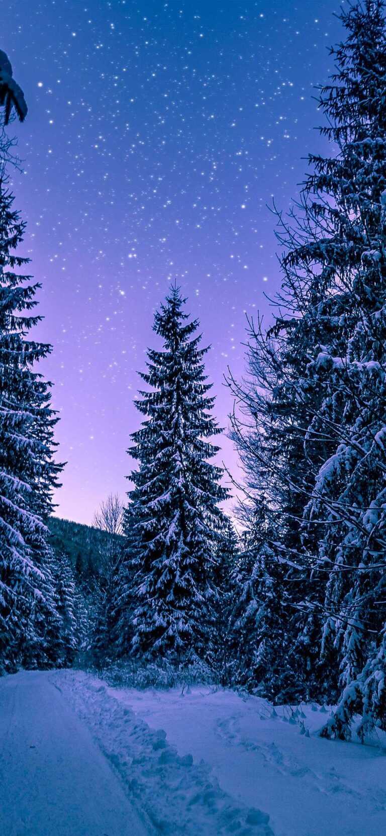 Snow Wallpapers - iXpap