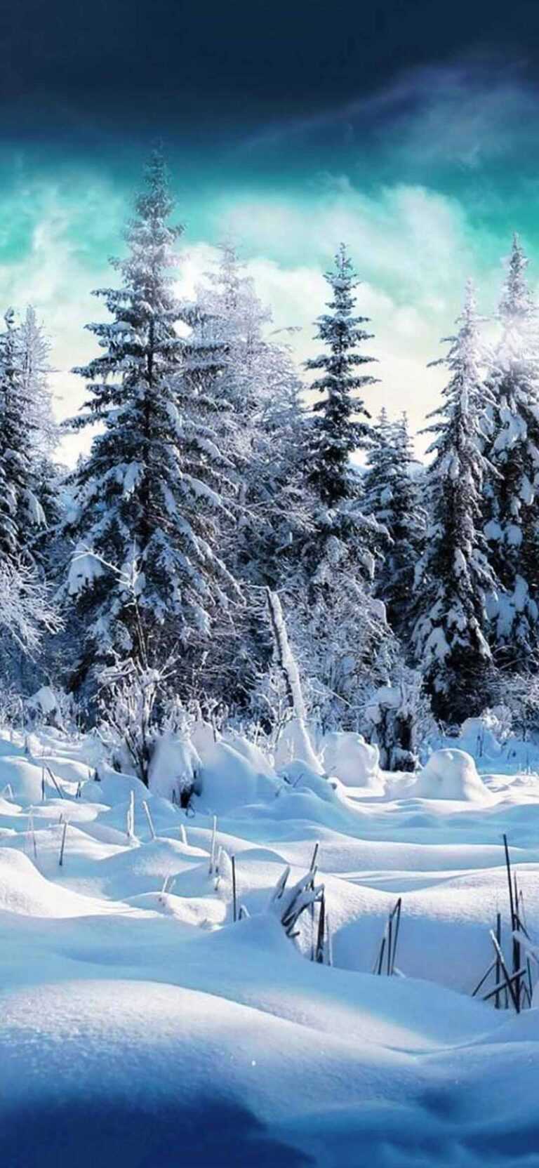 Winter Scenes Wallpaper - iXpap