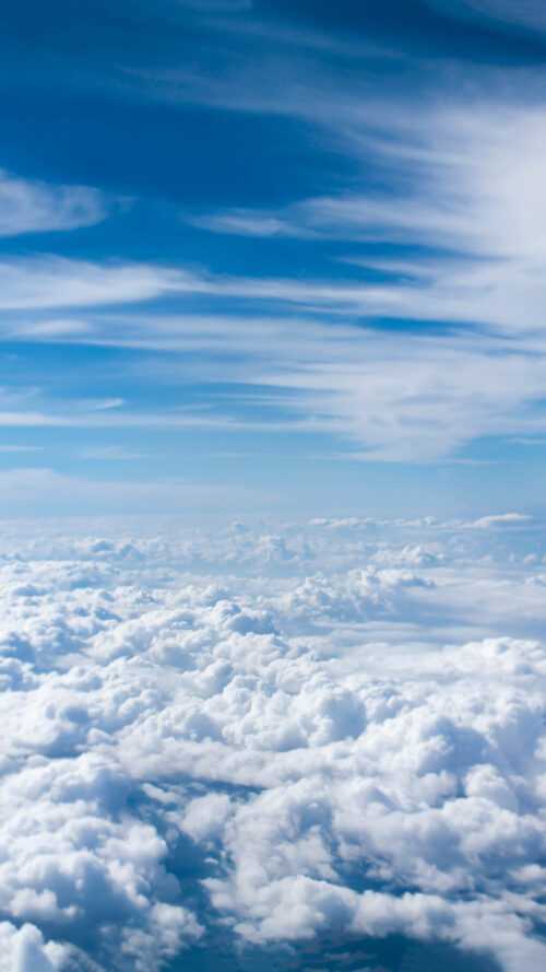 Dedication Wallpaper - iXpap