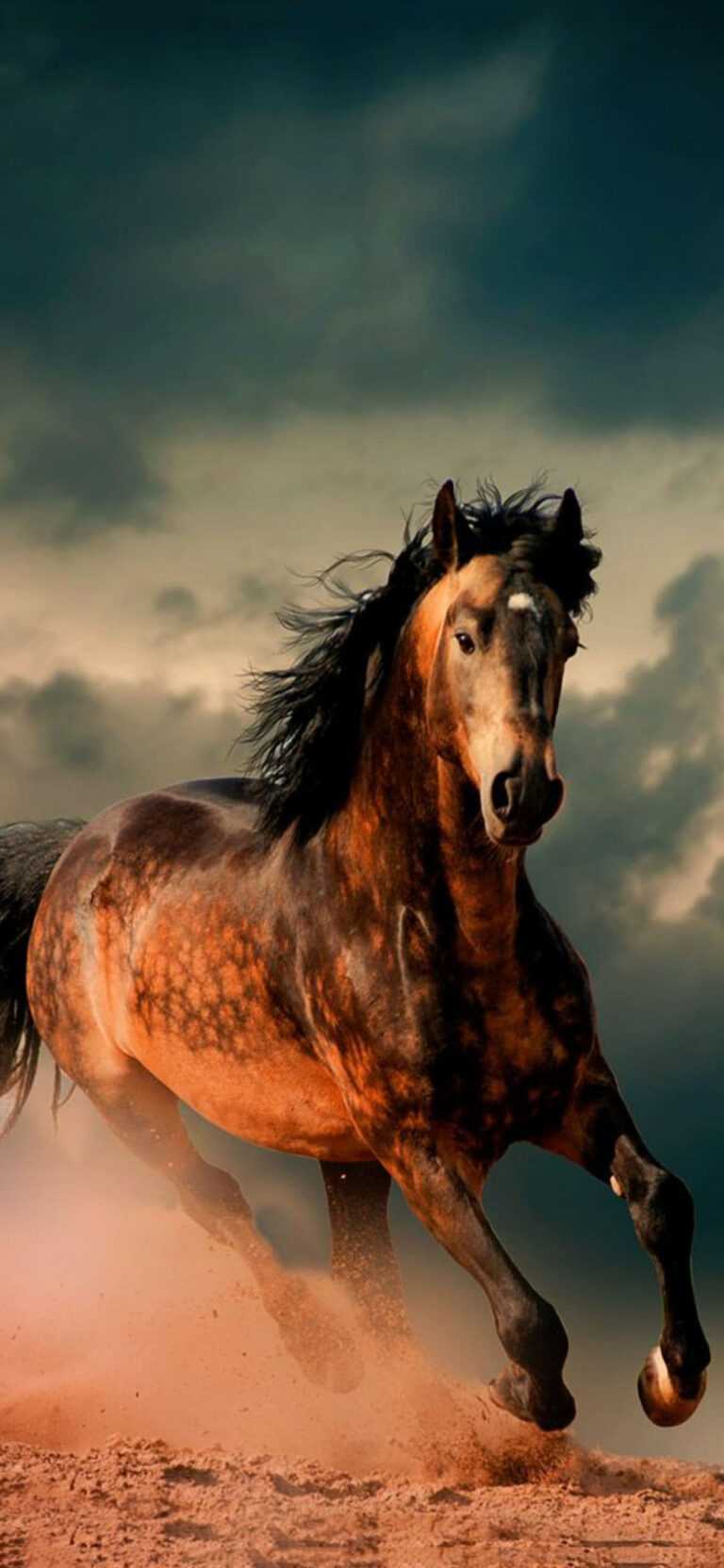 Horse Lockscreen - iXpap