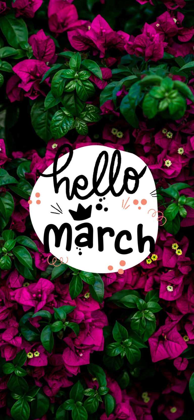 March Wallpaper - iXpap