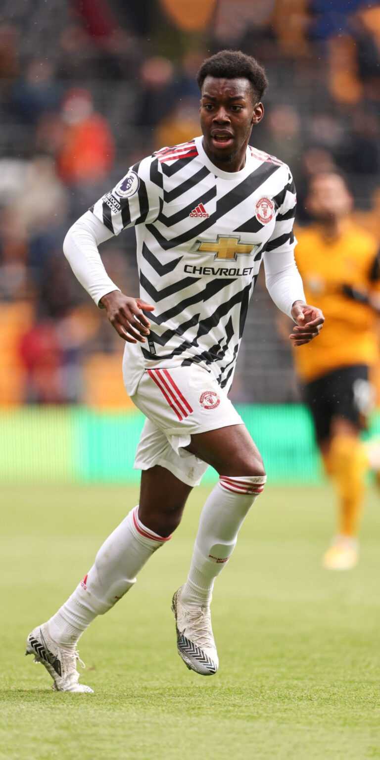 Elanga Wallpaper - iXpap