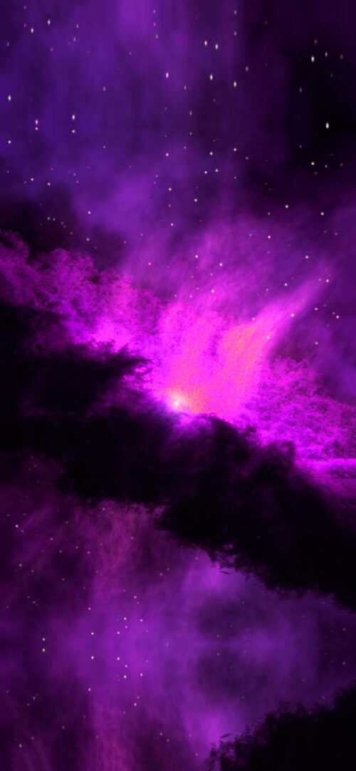 Lilac Wallpaper - iXpap