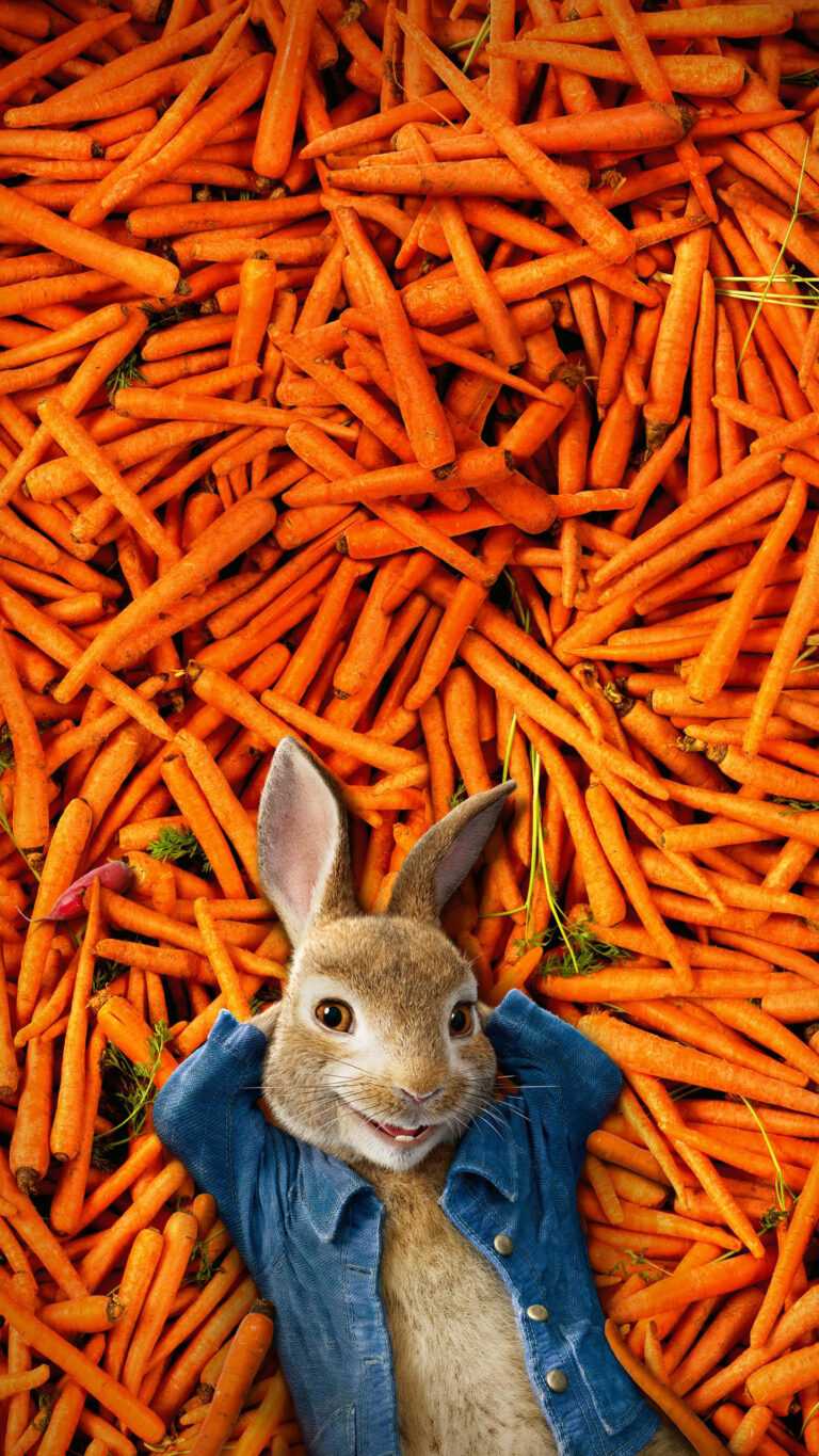 Rabbit Wallpaper - iXpap