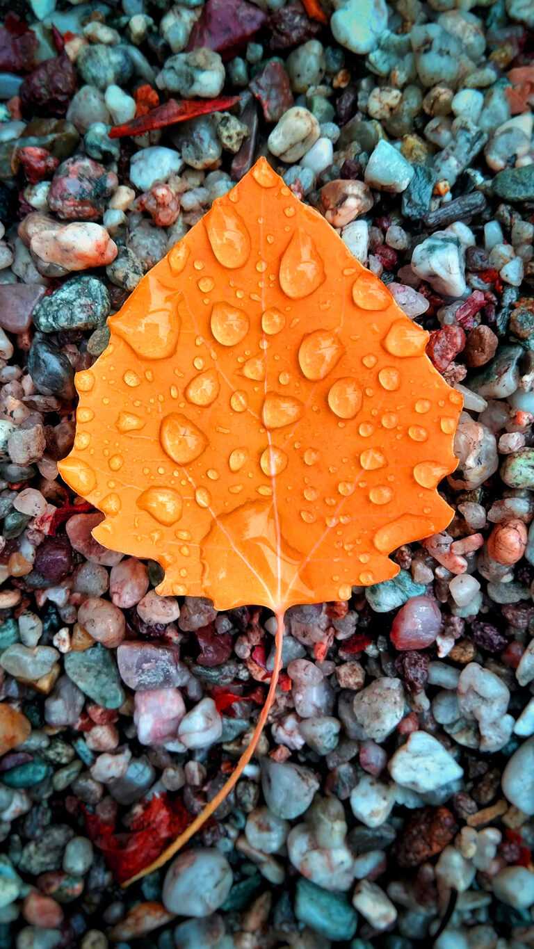 Top Rated Wallpapers - iXpap