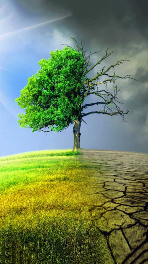 Life And Death Wallpaper - iXpap