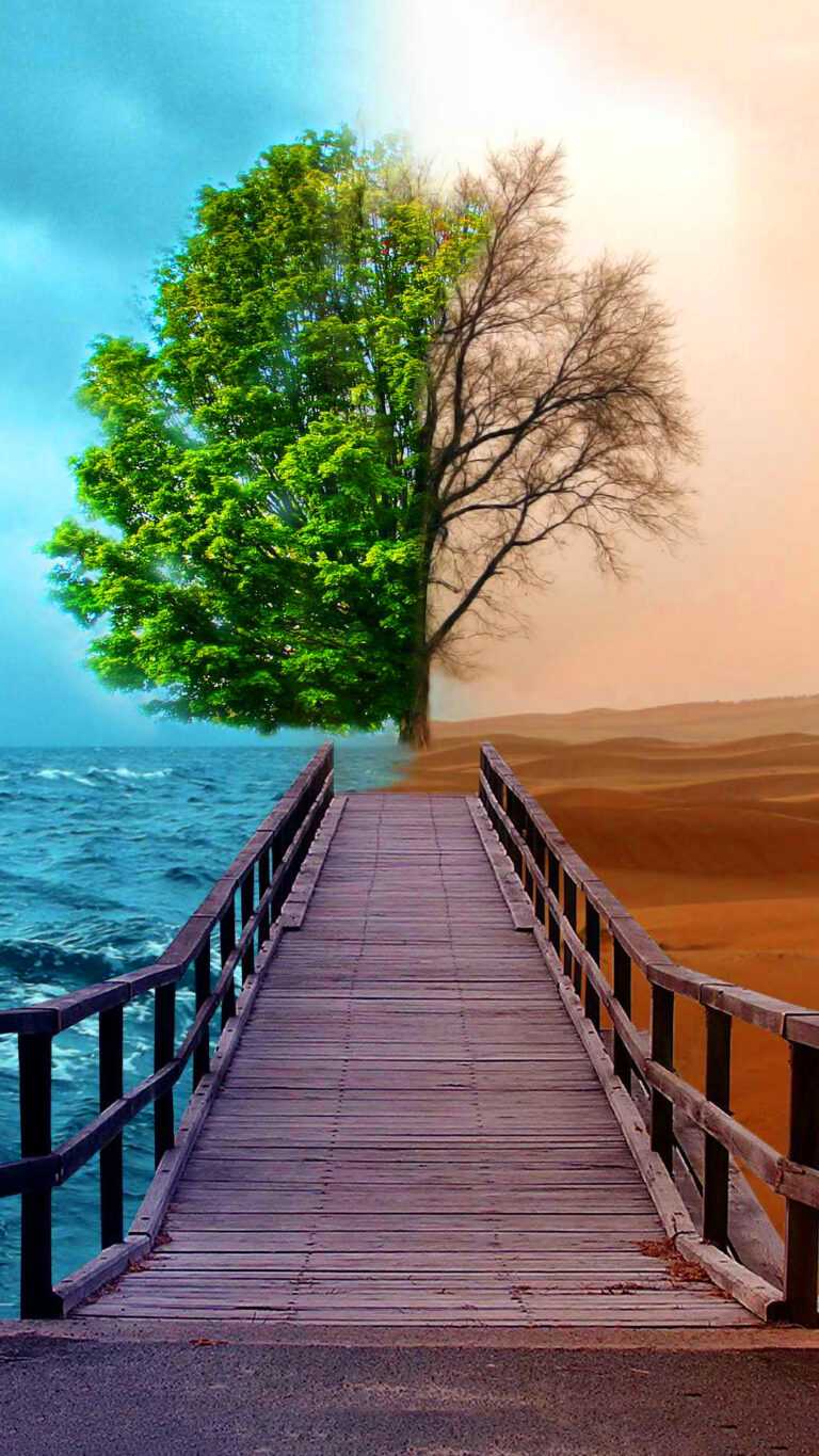 Life And Death Wallpaper - iXpap