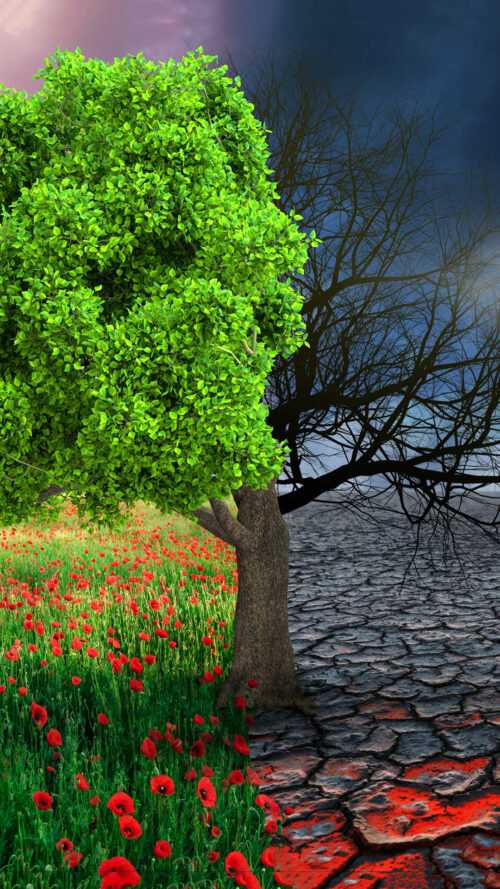 Life And Death Wallpaper - iXpap