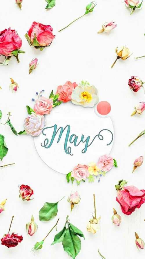 May Wallpaper - iXpap