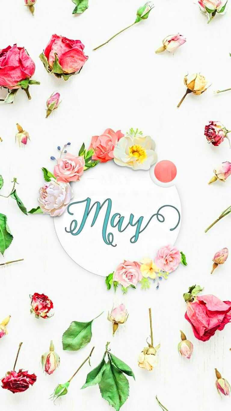 May Wallpaper - iXpap