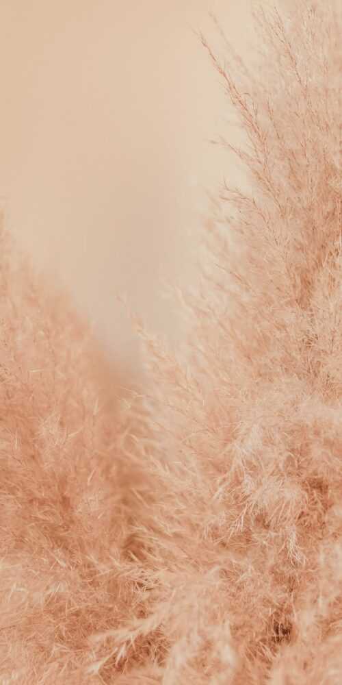 Neutral Wallpaper - iXpap