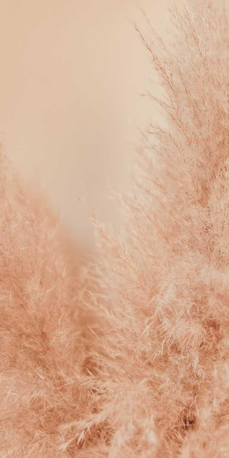 Neutral Wallpaper - iXpap