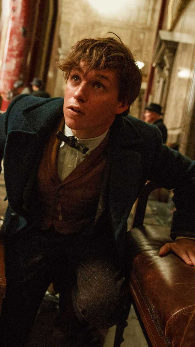 Newt Scamander Wallpaper - iXpap