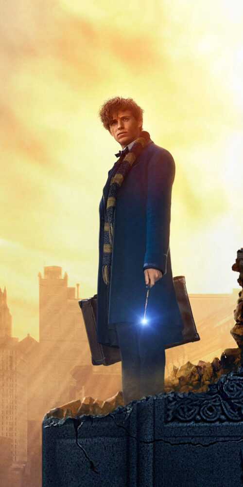 Newt Scamander Wallpaper - iXpap