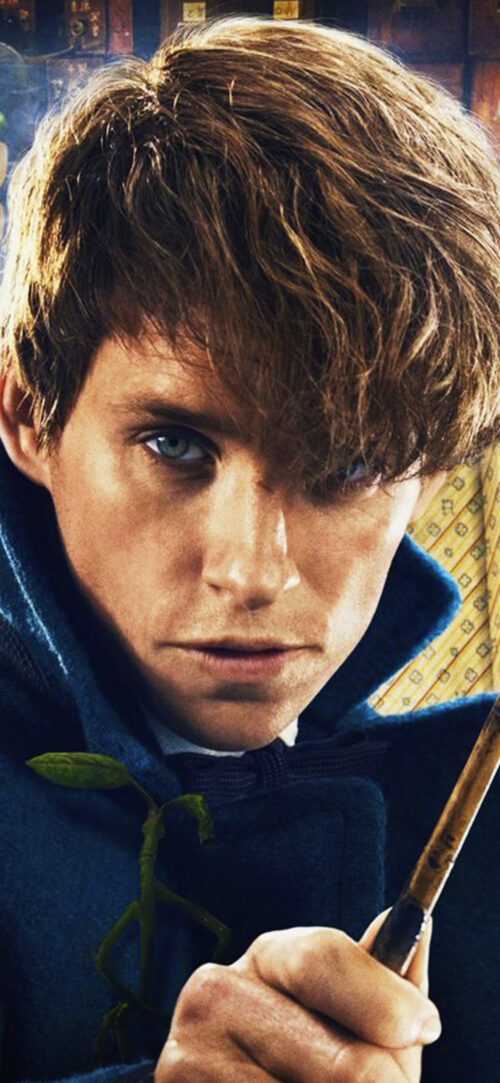 Newt Scamander Wallpaper - iXpap