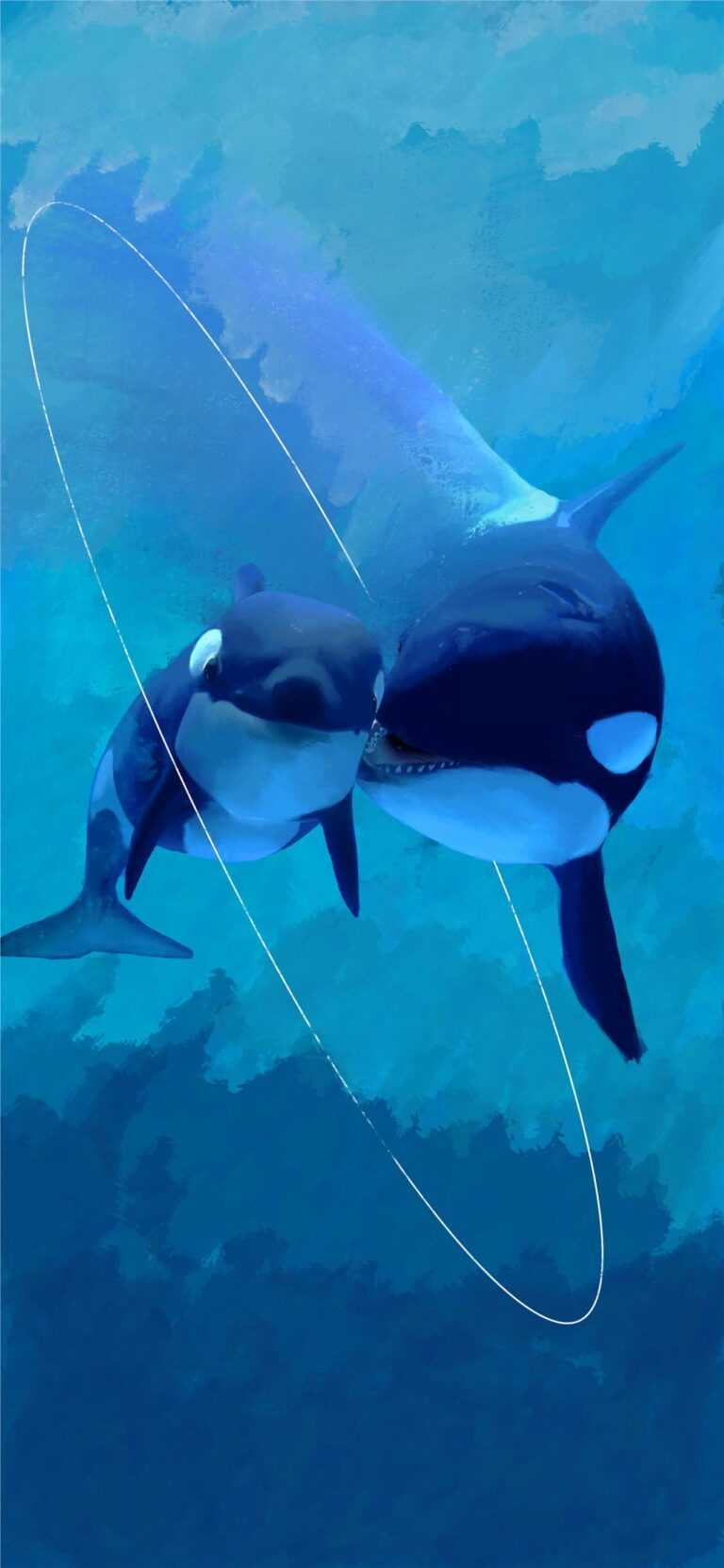 Orca Wallpaper - iXpap